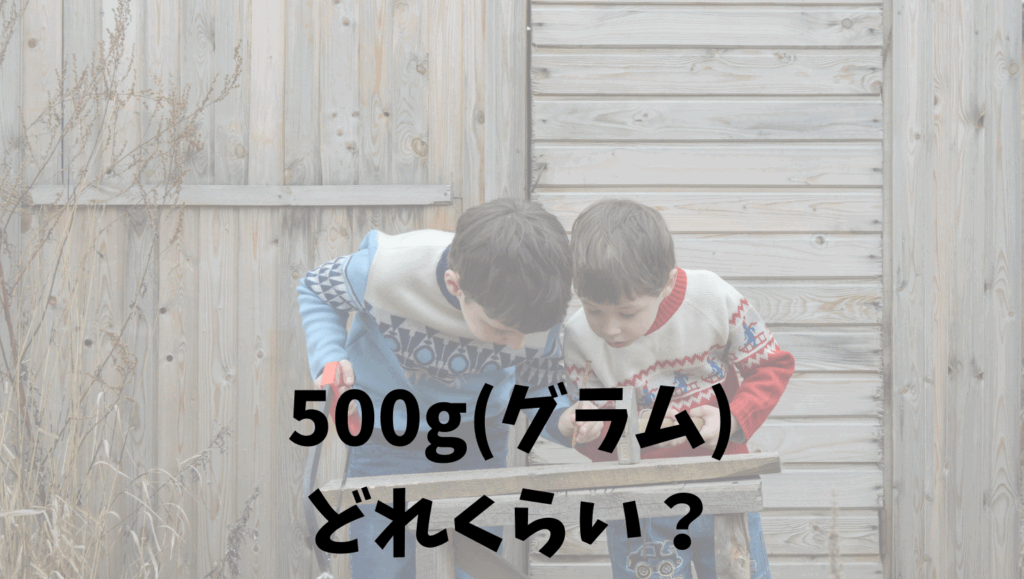 500g(グラム)はどれくらい？何人分？身近な例50選で重さの感覚理解【料理・買い物参考ガイド】 | どれくらい雑学