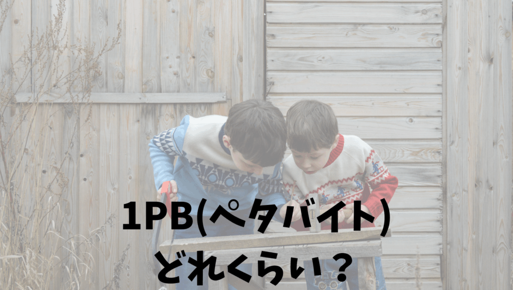 1PB(ペタバイト)はどれくらい？データセンター級の超大容量をわかりやすく解説【写真約5億枚・動画約10万時間】 | どれくらい雑学